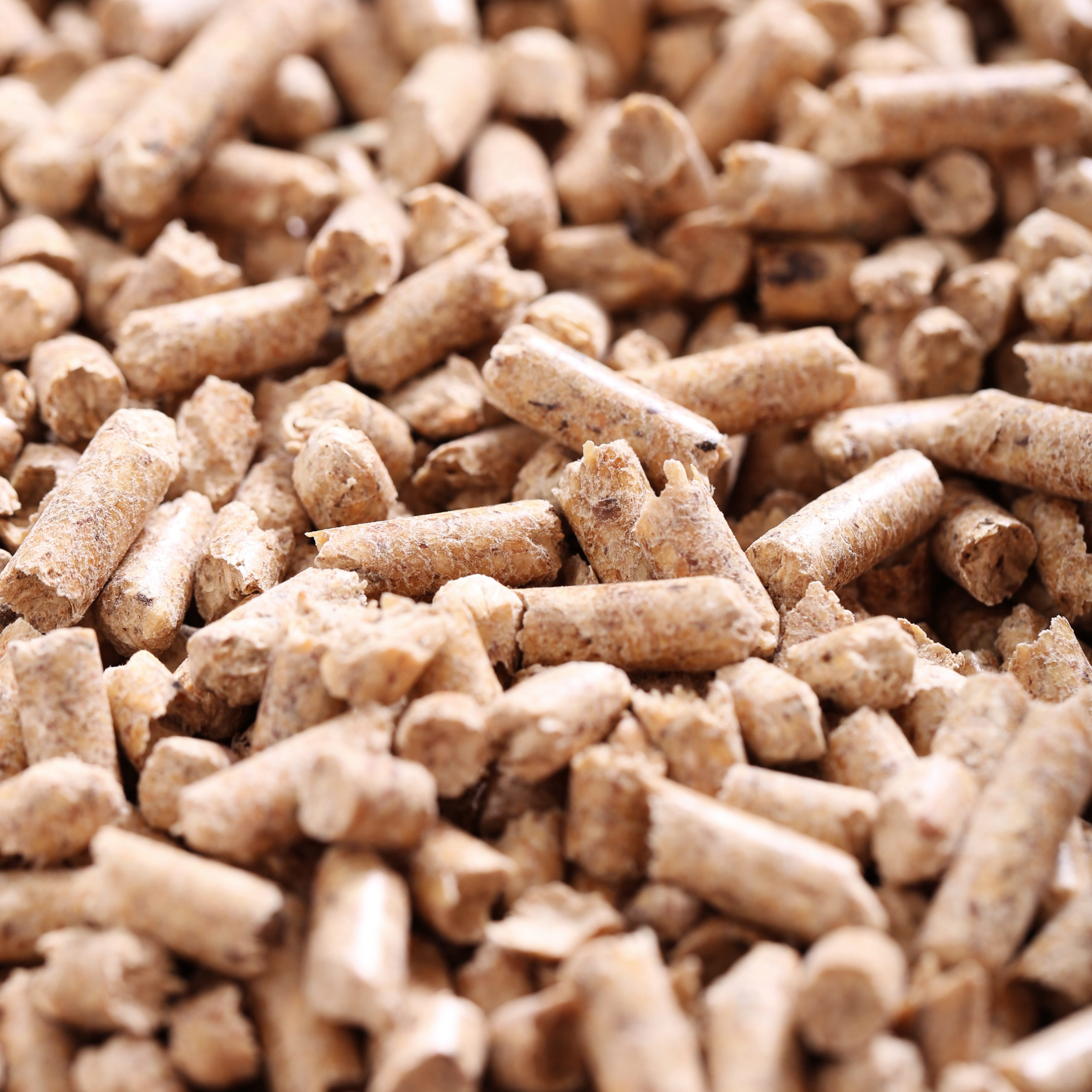 Avantages De La Chaudière à Pellet Granulé Bois Isicap